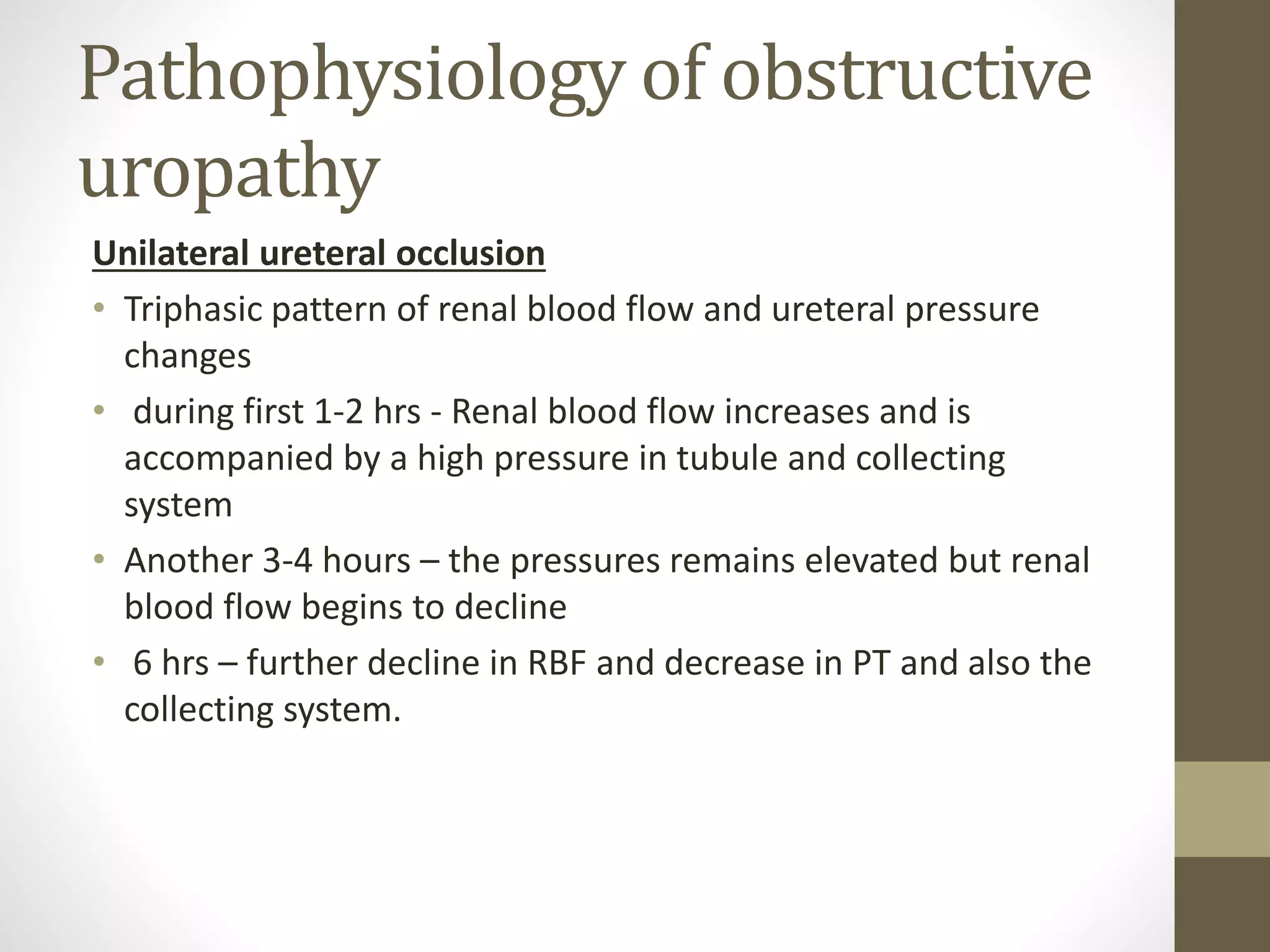 Obstructive Uropathy.pptx