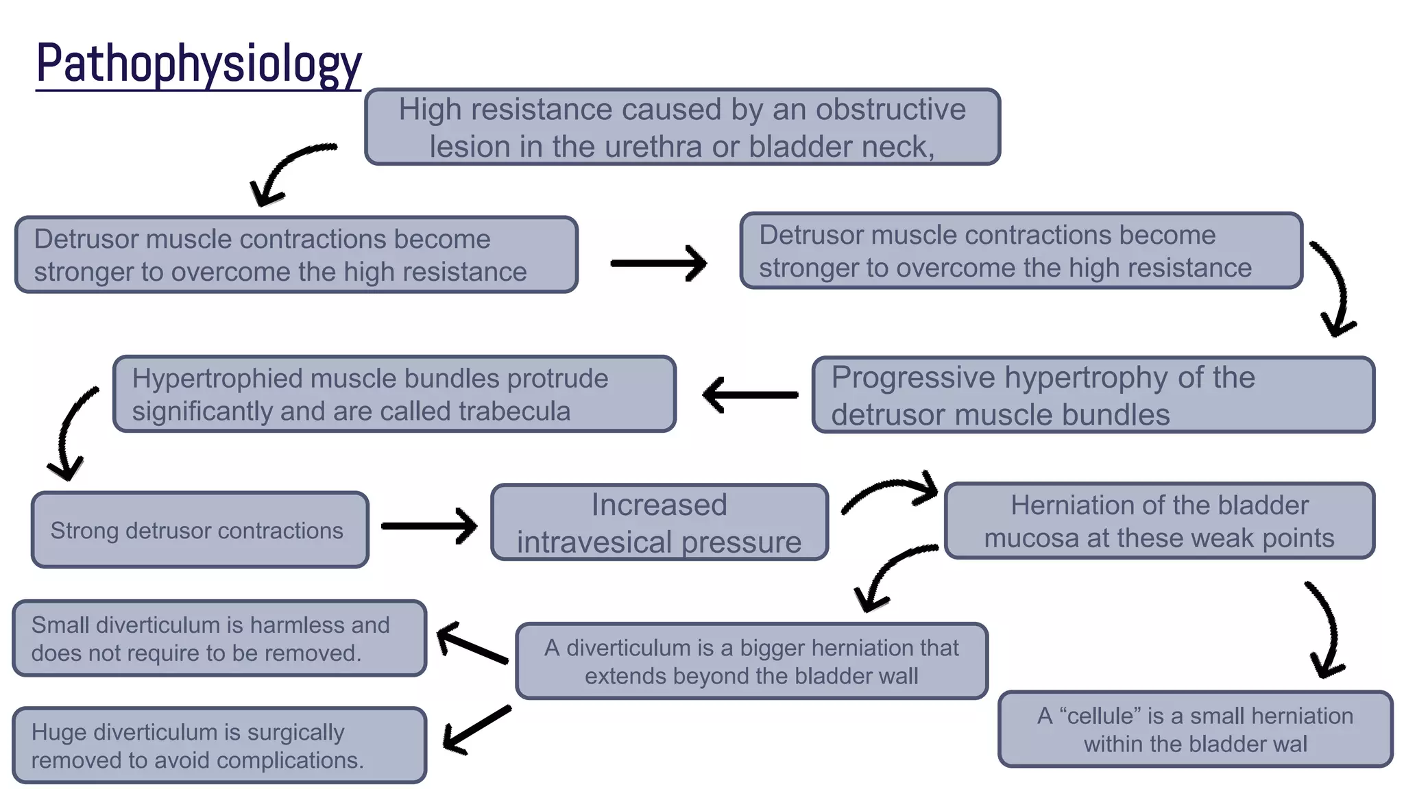 obstructive uropathy.pptx