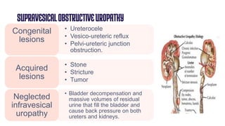 obstructive uropathy.pptx