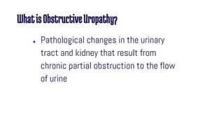 obstructive uropathy.pptx