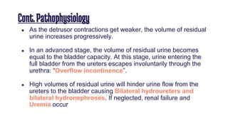 obstructive uropathy.pptx