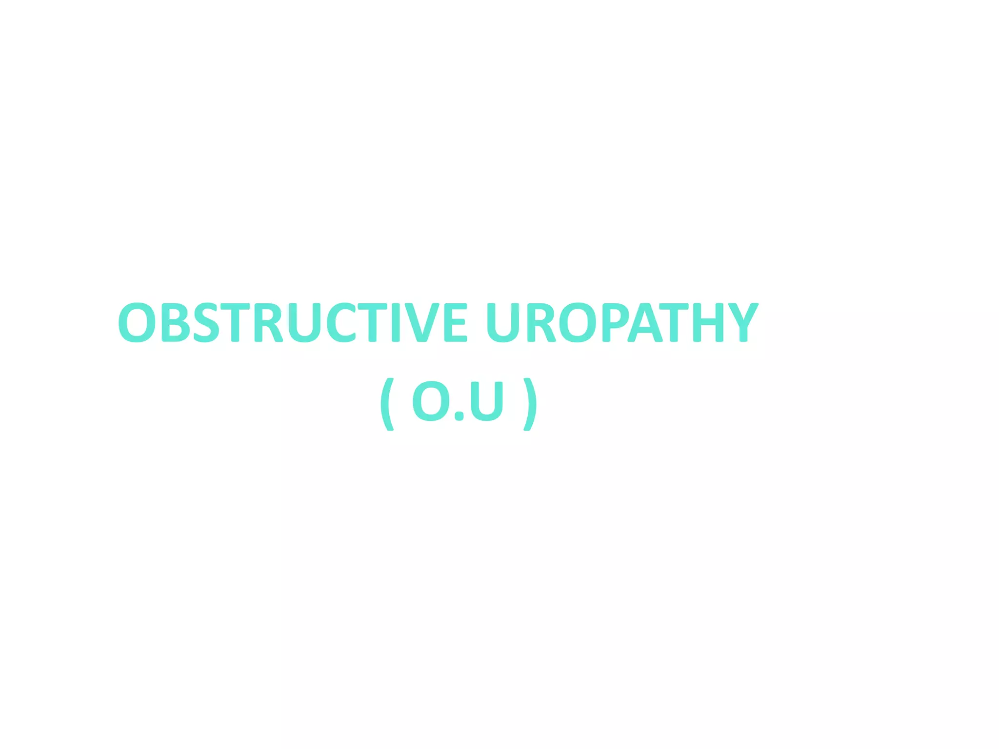 OBSTRUCTIVE UROPATHY.pptx