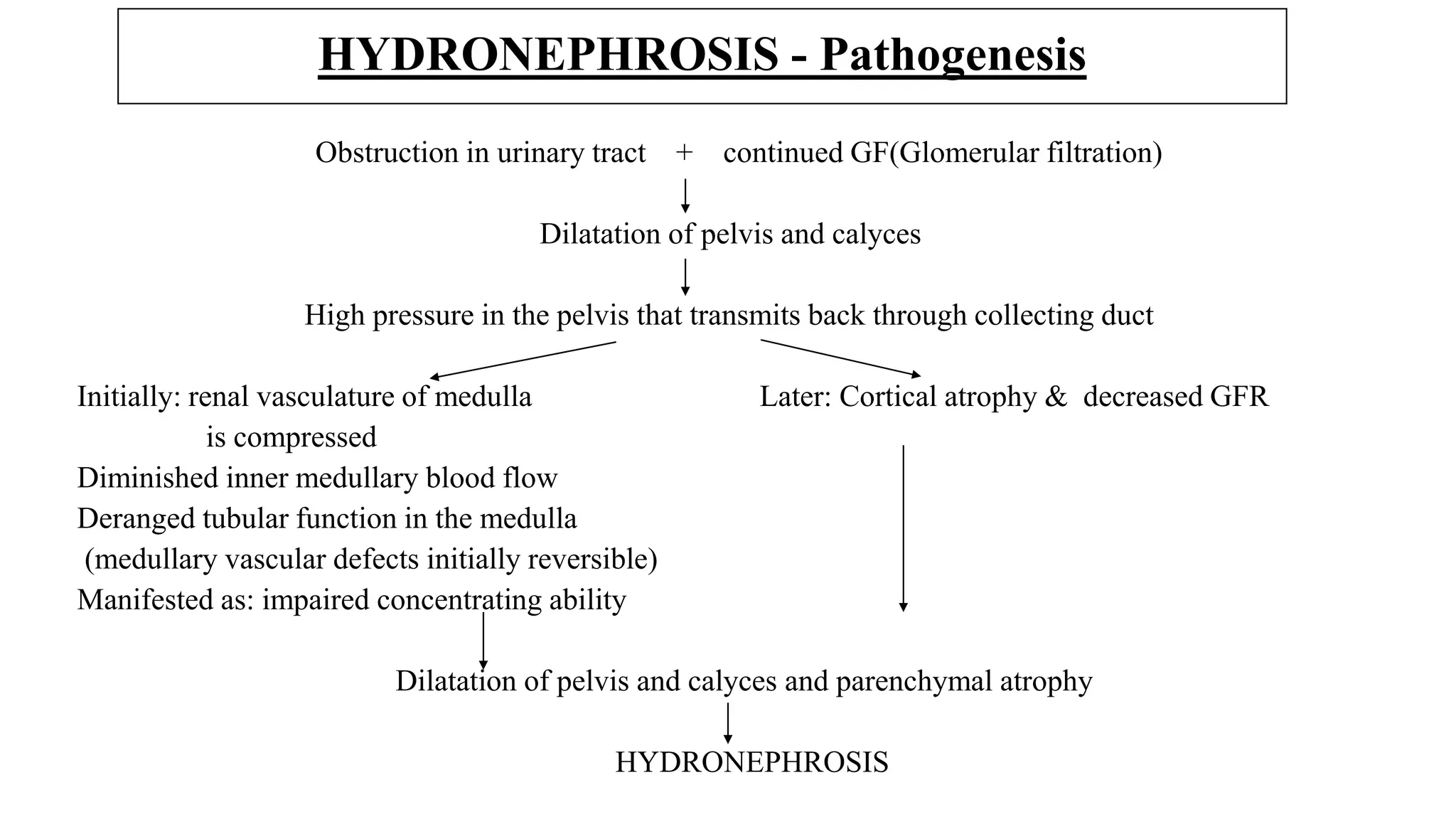 OBSTRUCTIVE UROPATHY PPT.pptx