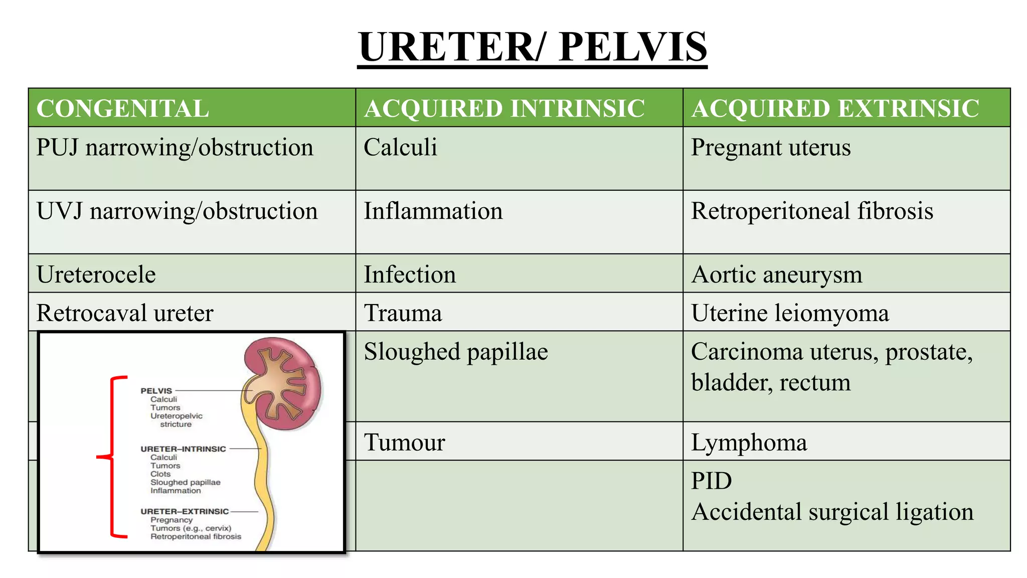 OBSTRUCTIVE UROPATHY PPT.pptx