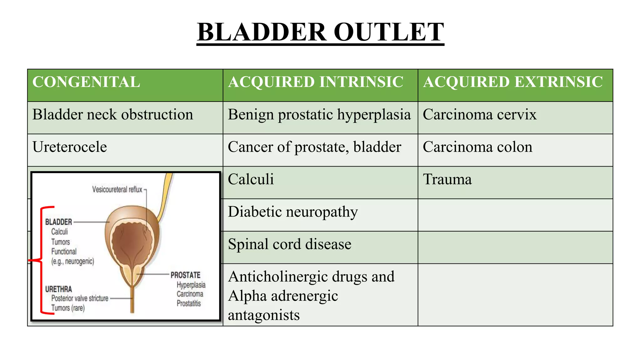 OBSTRUCTIVE UROPATHY PPT.pptx