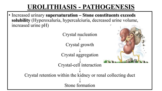 OBSTRUCTIVE UROPATHY PPT.pptx