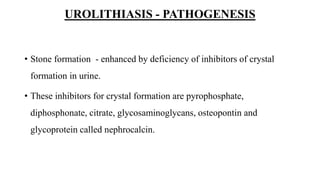 OBSTRUCTIVE UROPATHY PPT.pptx