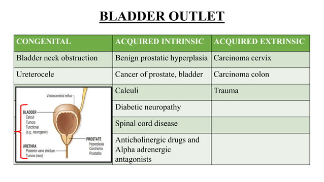 OBSTRUCTIVE UROPATHY PPT.pptx