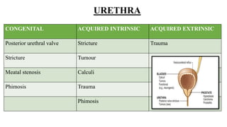 OBSTRUCTIVE UROPATHY PPT.pptx