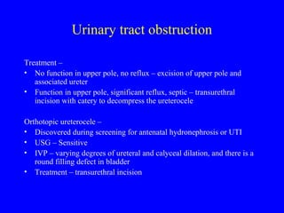 Obstructive uropathy+urolithias | PPT
