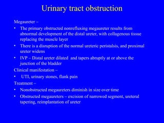 Obstructive uropathy+urolithias | PPT