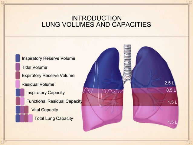 Obstructive vs. Restrictive Lung disease | PPTX | Lung and Respiratory ...