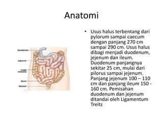 Obstruksi Usus Mekanis PPT.pptx