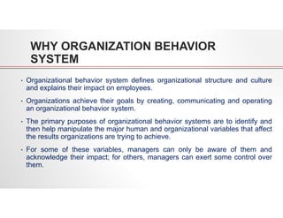 Ob system | PDF
