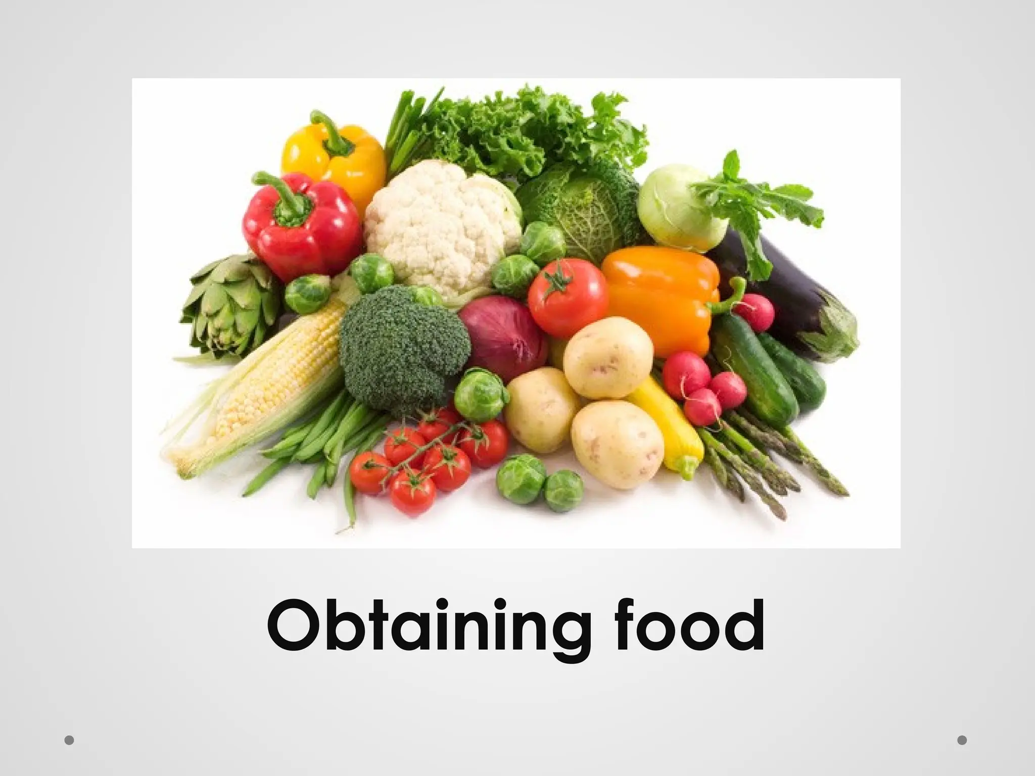 Obtaining foods of plants and animals and its importance | PPTX