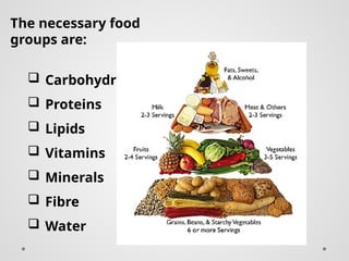 Obtaining foods of plants and animals and its importance | PPTX