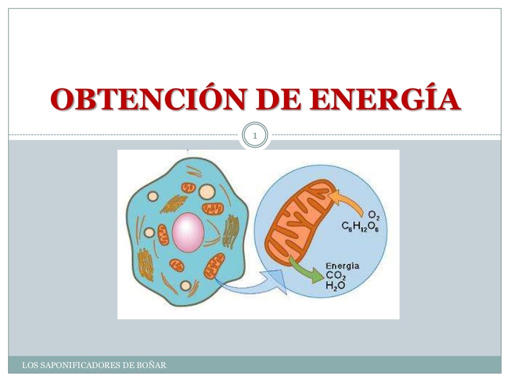 Obtención de energía