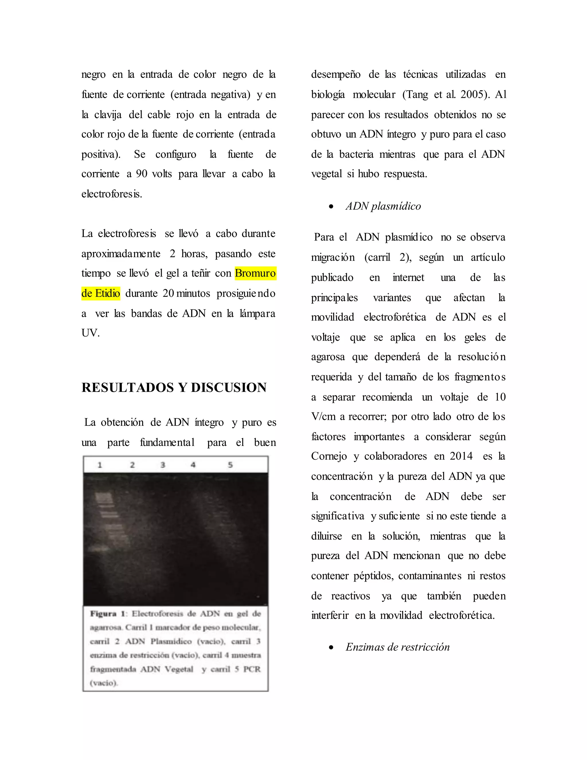 Obtencion de adn | PDF
