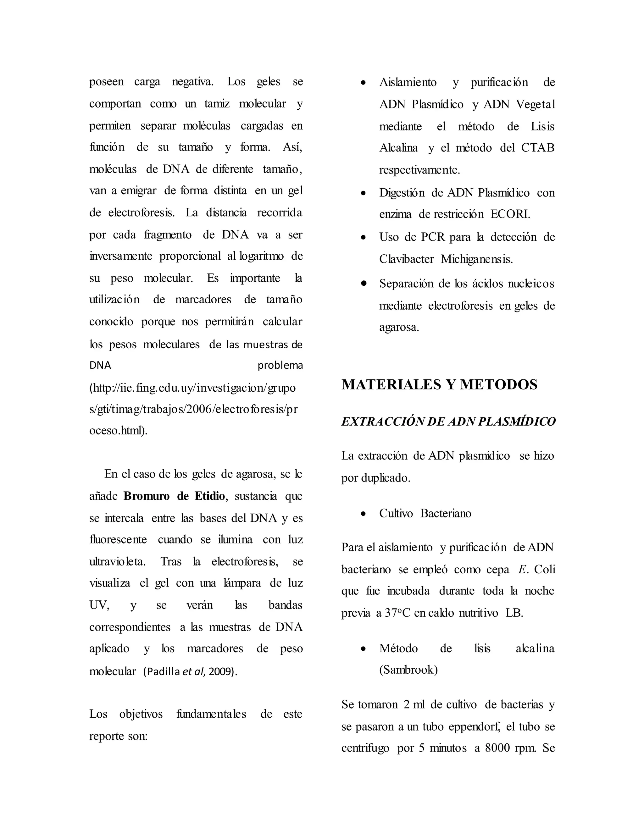 Obtencion de adn | PDF