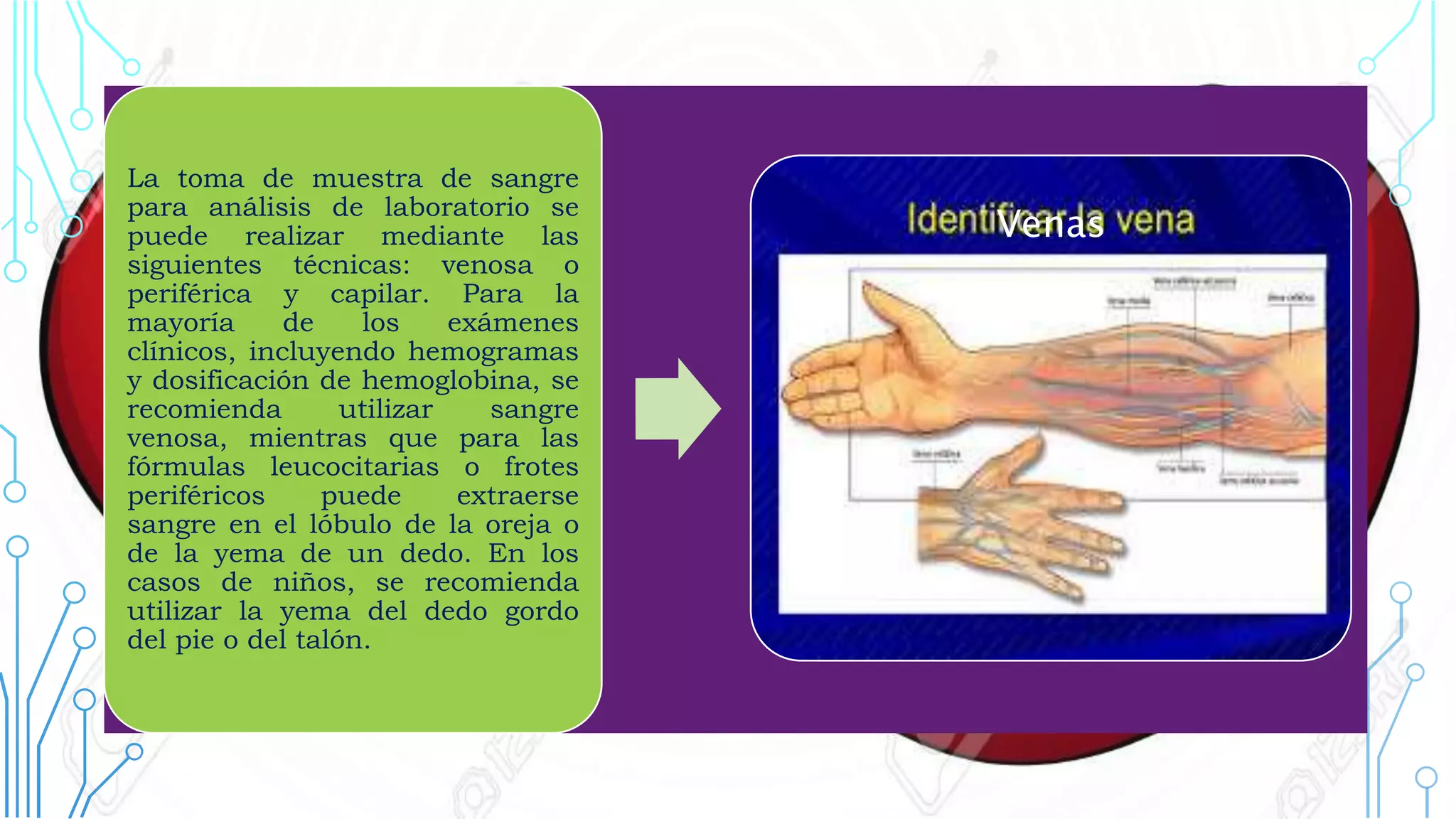 Obtencion de sangre mediante puncion venosa | PPT
