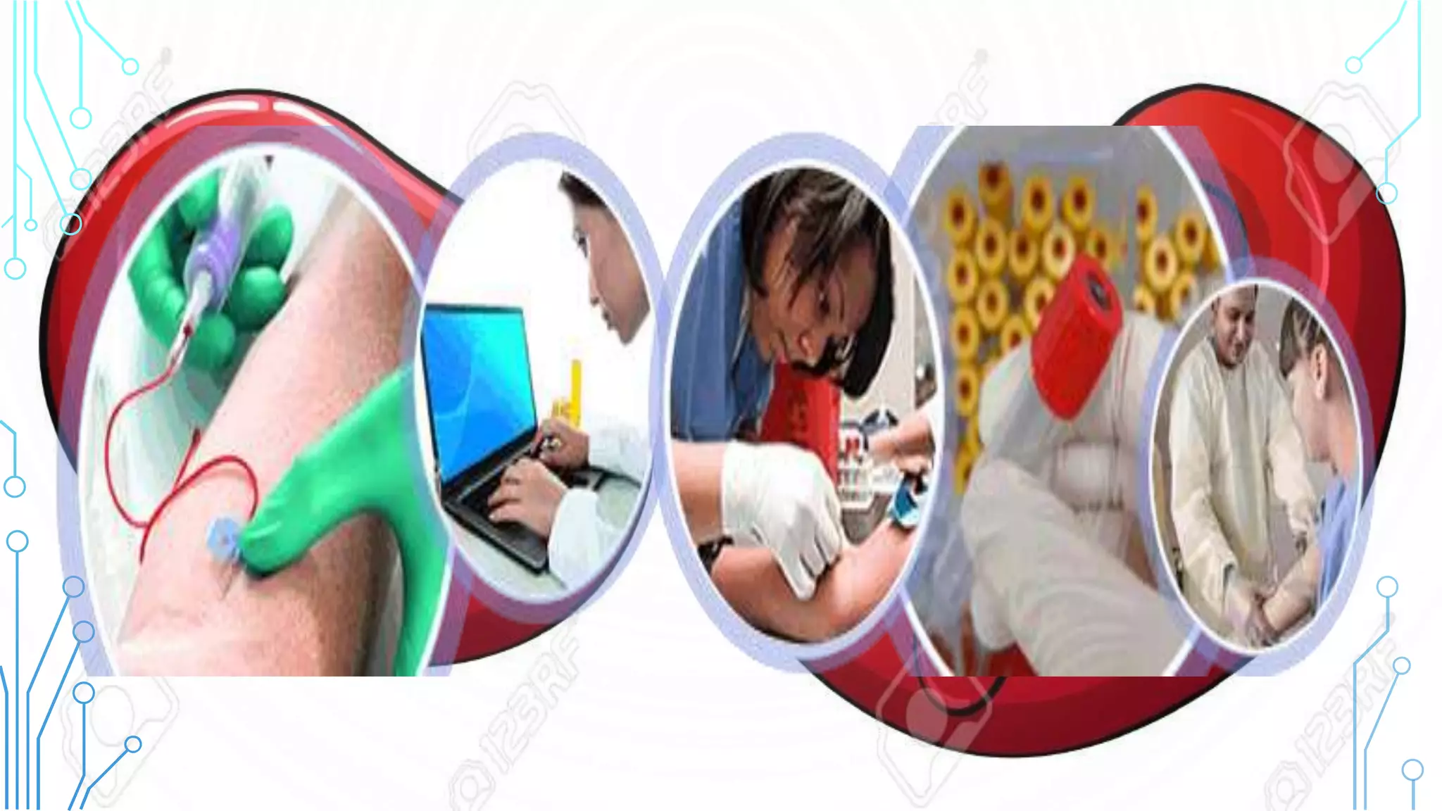 Obtencion de sangre mediante puncion venosa | PPT