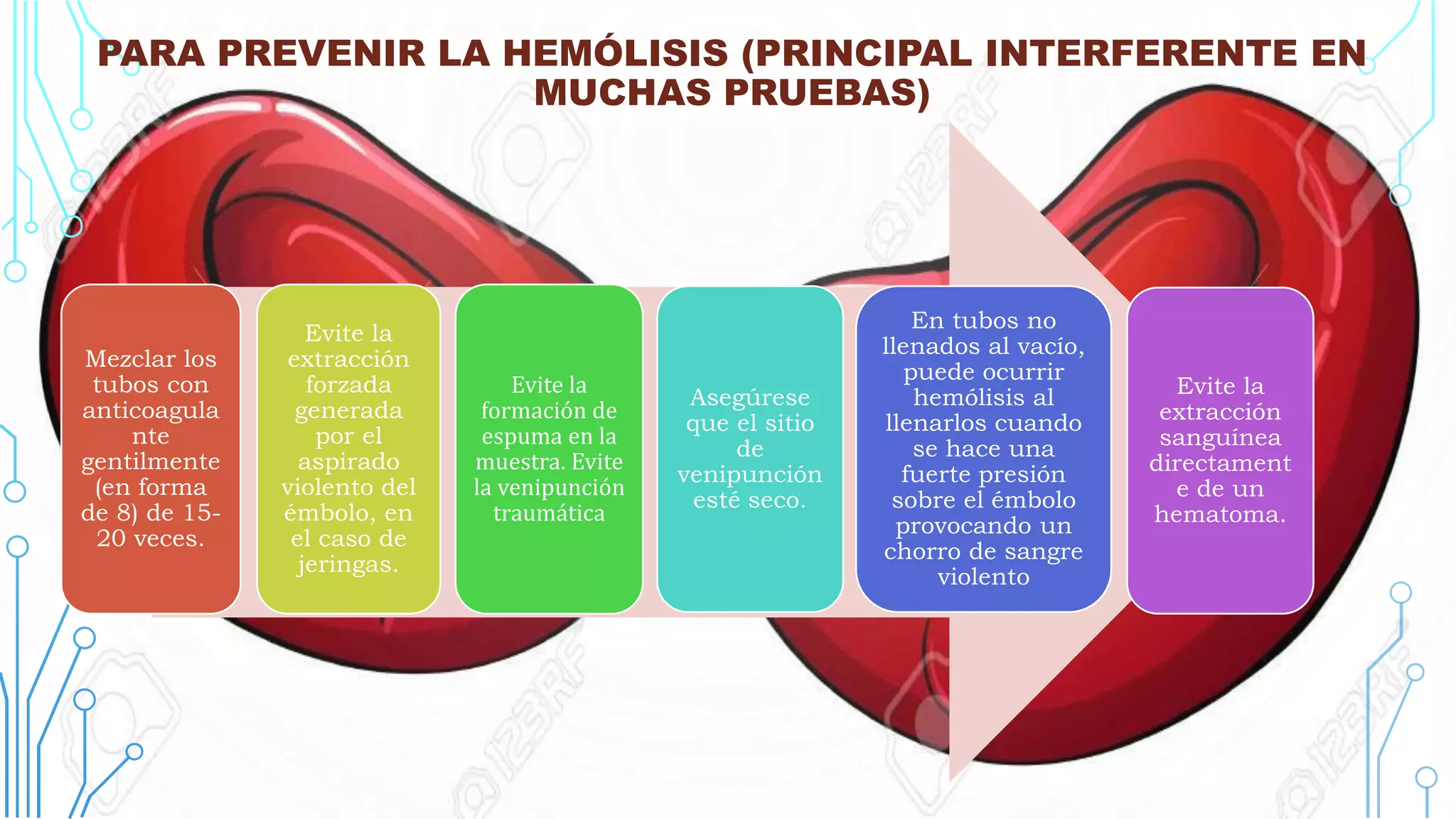Obtencion de sangre mediante puncion venosa | PPT