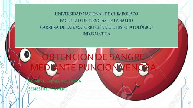 Obtencion de sangre mediante puncion venosa | PPT