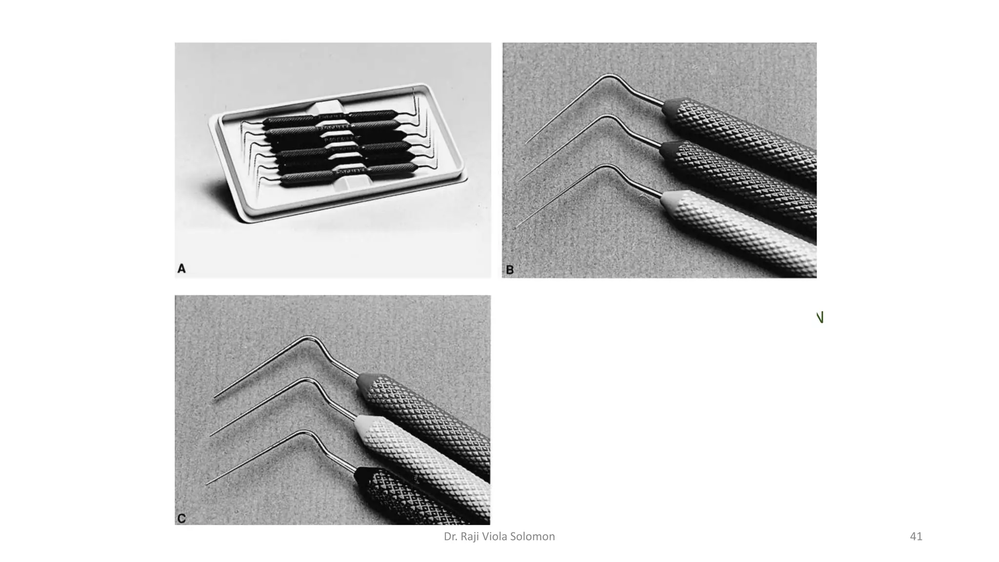 Obturation.of.the.Root.Canal.Space.Part1 | PDF