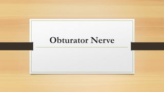 Obturator Nerve lower limb nervesss.pptx