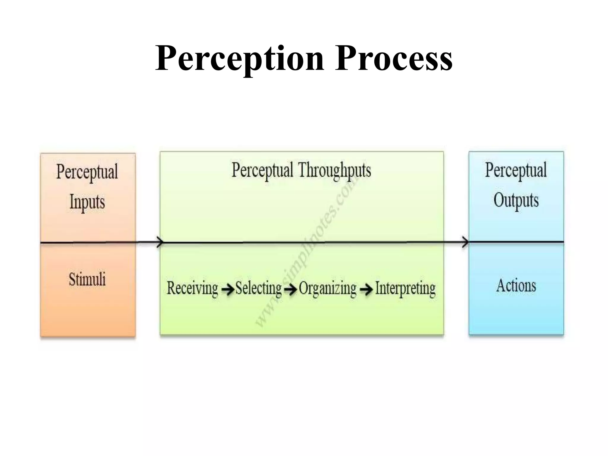 OB unit 2 perception.pptx