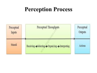OB unit 2 perception.pptx