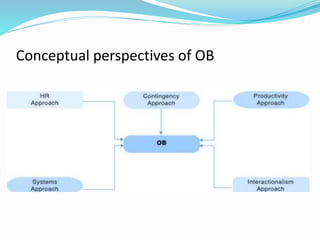 Introduction to Organizational Behaviour | PPTX