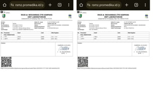 bisa_ular- oooooooooooooooooooooooo.pptx