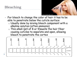 Oc hair dyes | PPTX