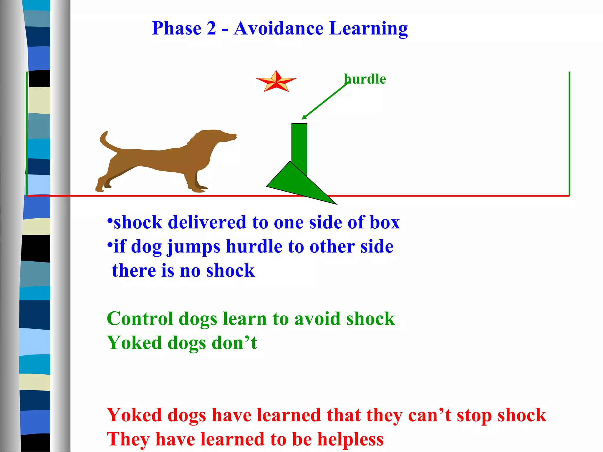 Contingency and Continuity | PPT