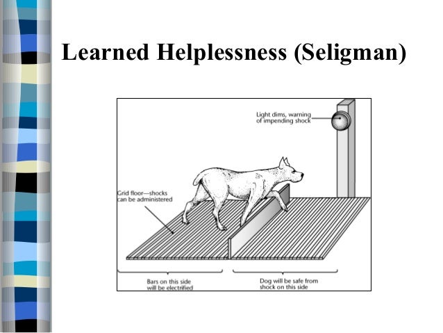 Contingency and Continuity