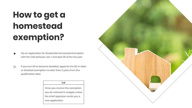 Texas homestead exemption | PPT