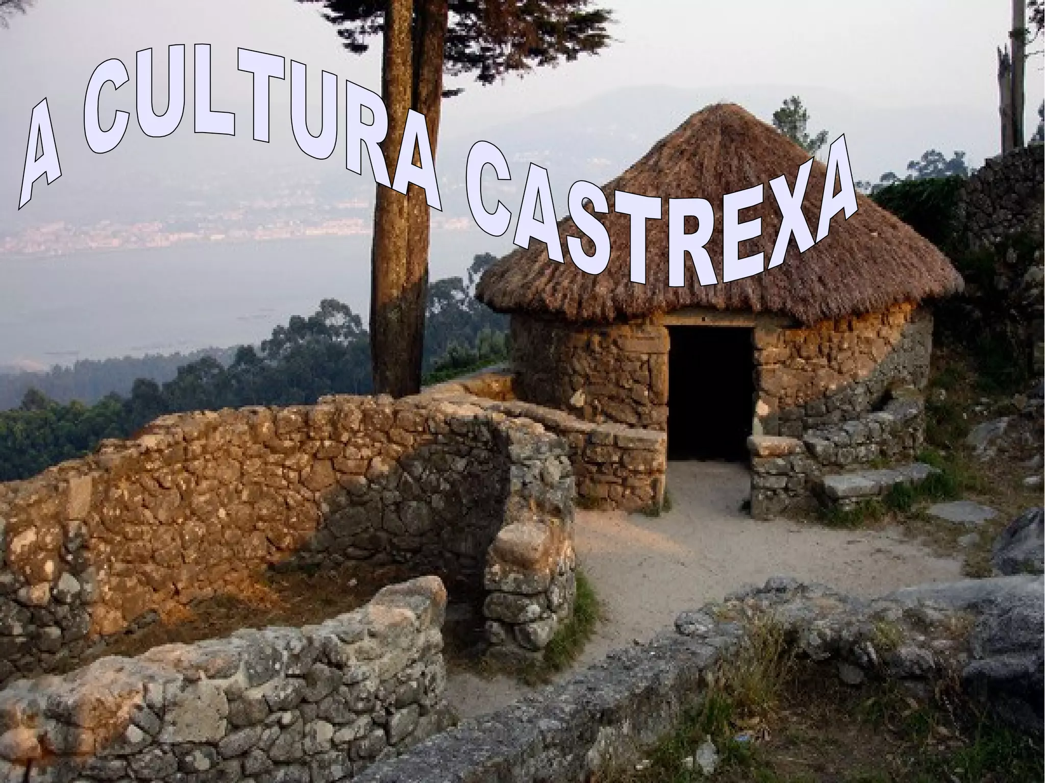 Cultura castrexa | PDF