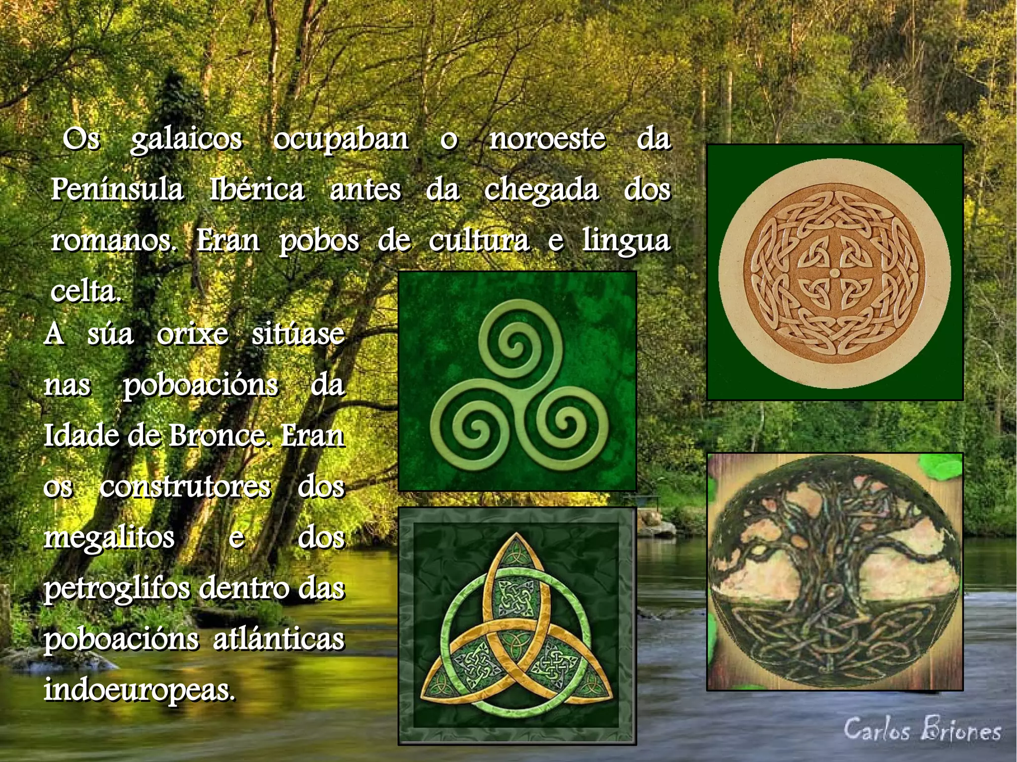 Cultura castrexa | PDF