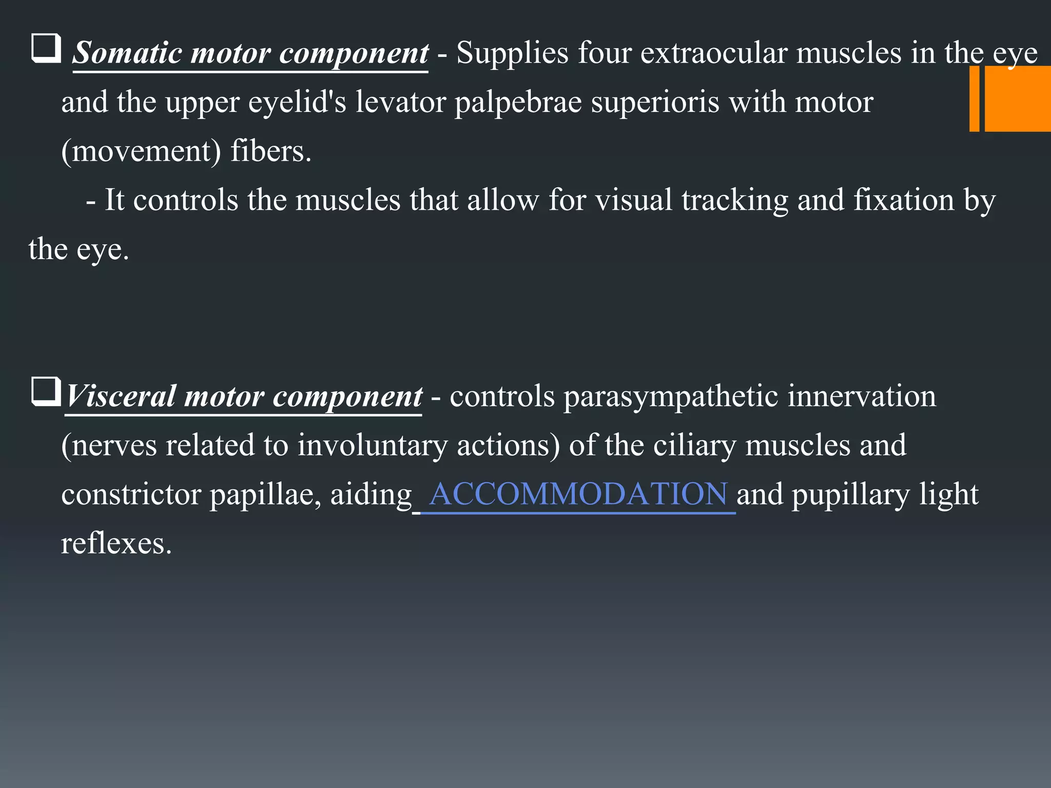 Oculomotor Nerve | PPTX
