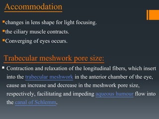Oculomotor Nerve | PPTX