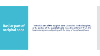 Skeletal System:- Neurocranium - Occipital bone | PPT