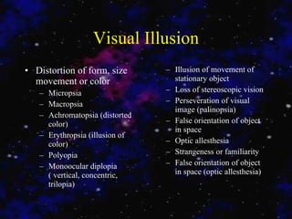Occipital lobe | PPT