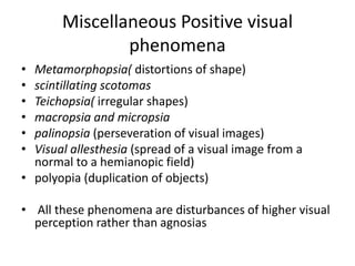 Occipital lobe | PPT