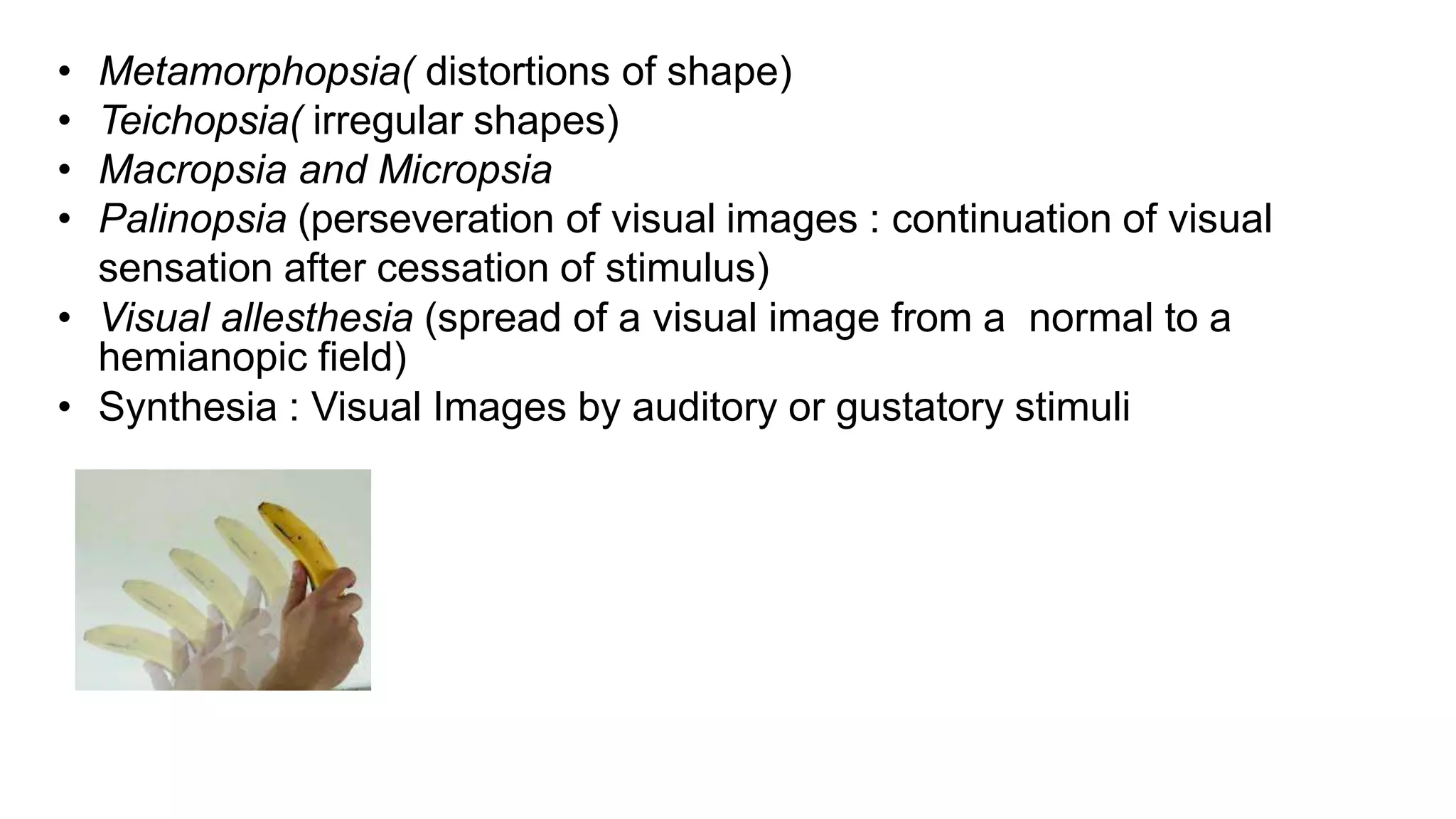 Occipital lobe | PPTX