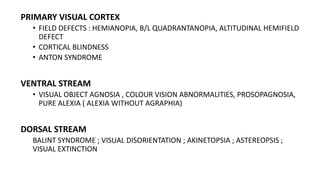 Occipital lobe | PPTX | Eye and Vision Conditions | Diseases and Conditions