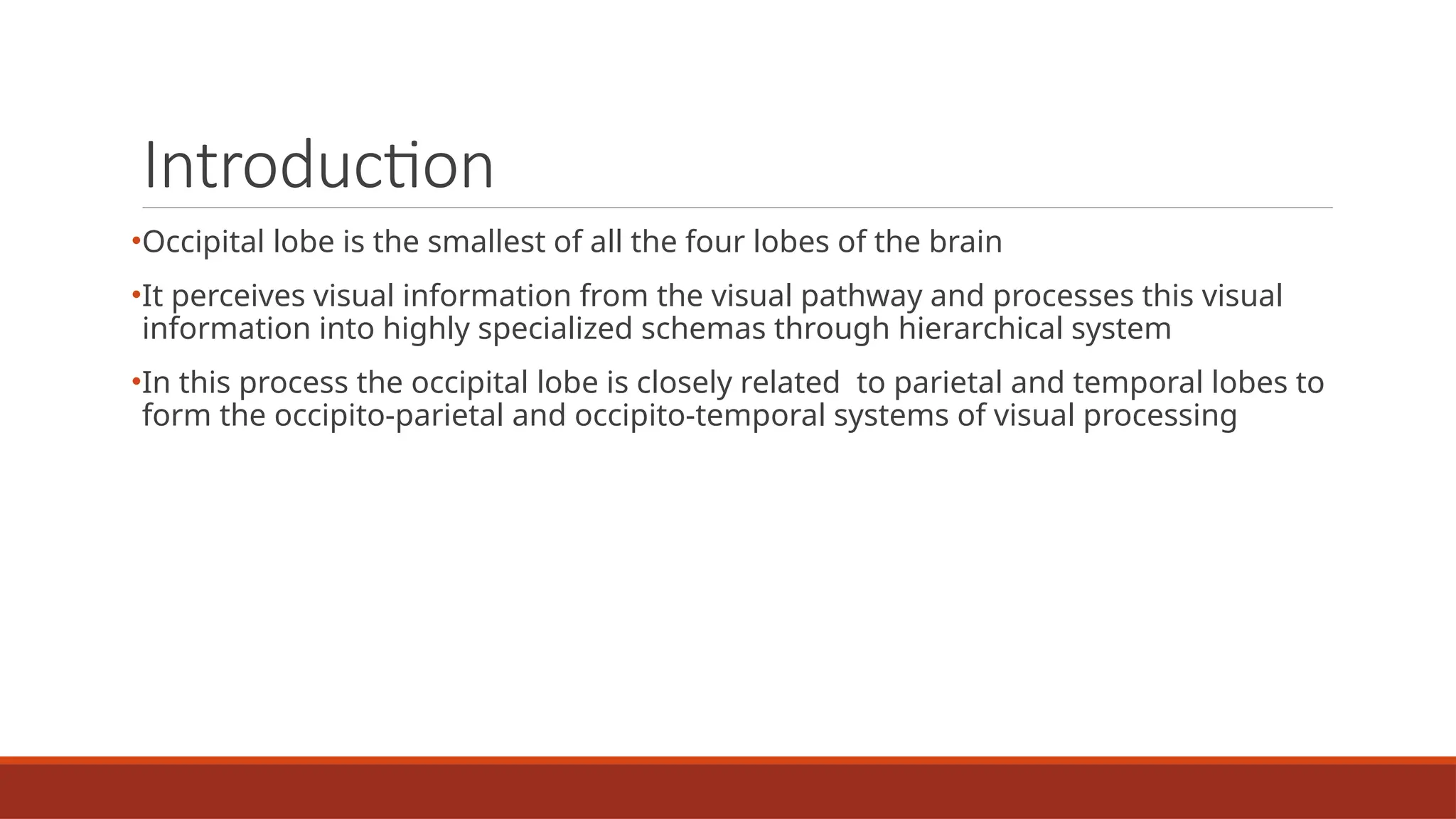 OCCIPITAL LOBE - ANATOMY AND FUNCTIONS.pptx
