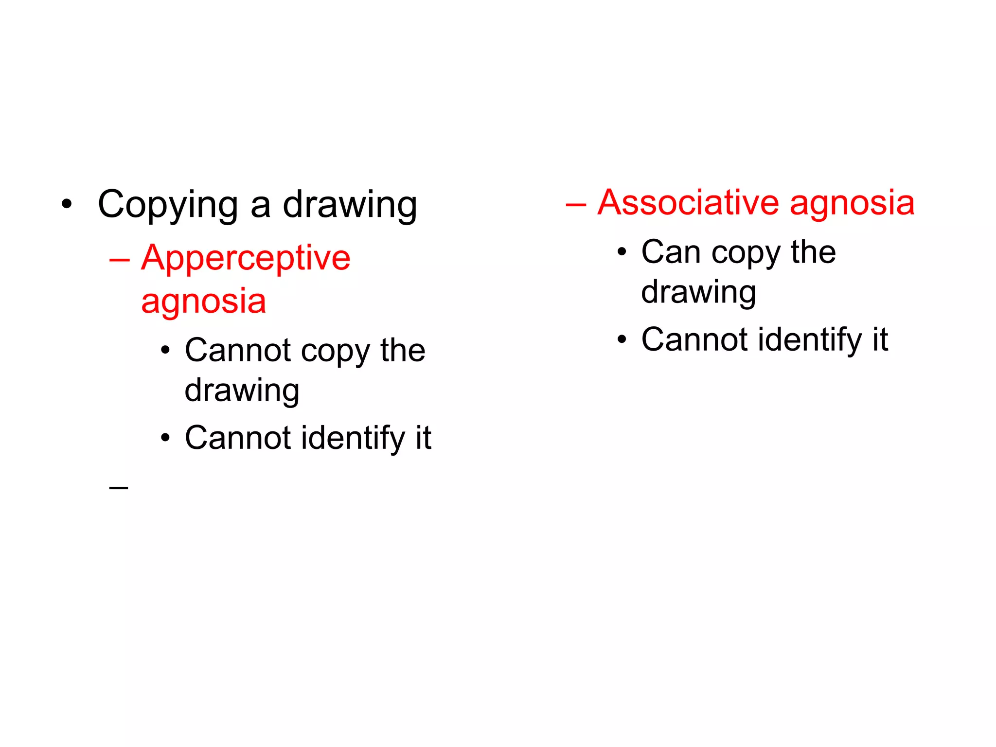 Occipital lobe 2 syndromes nwnw ppt | PPTX