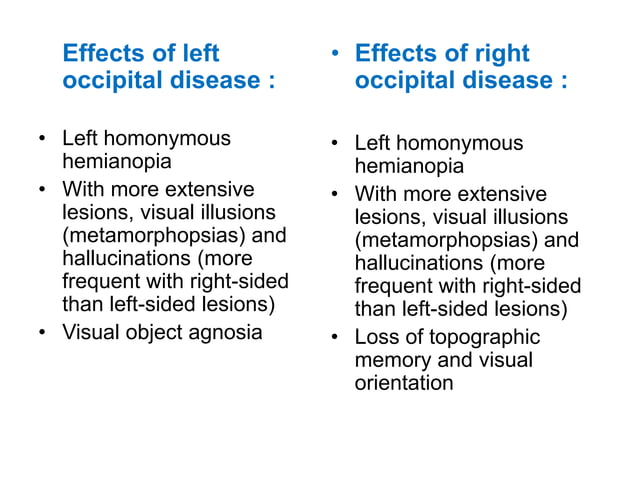 Occipital lobe 2 syndromes nwnw ppt | PPTX | Eye and Vision Conditions ...