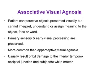 Occipital lobe 2 syndromes nwnw ppt | PPTX